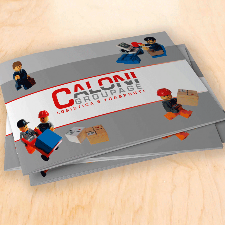 Caloni Groupage Brochure | Newton Software Solutions and Communication